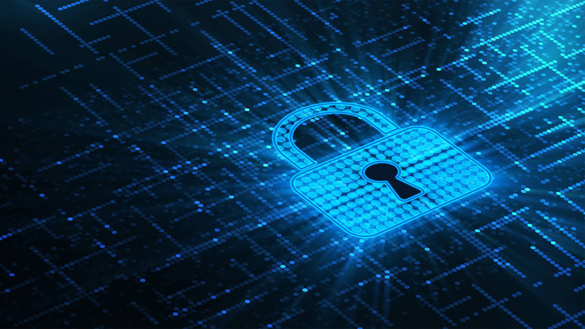 Privacy Policy - Archetype SC